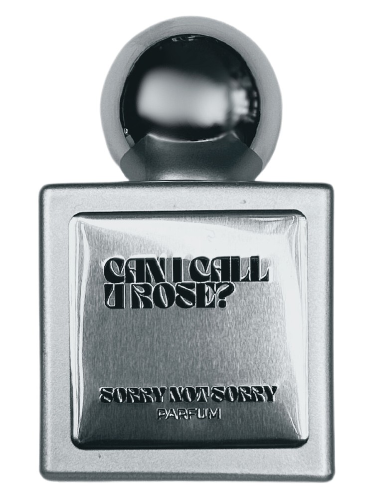 Can I Call U Rose? Sorry Not Sorry perfume - a new fragrance for women ...