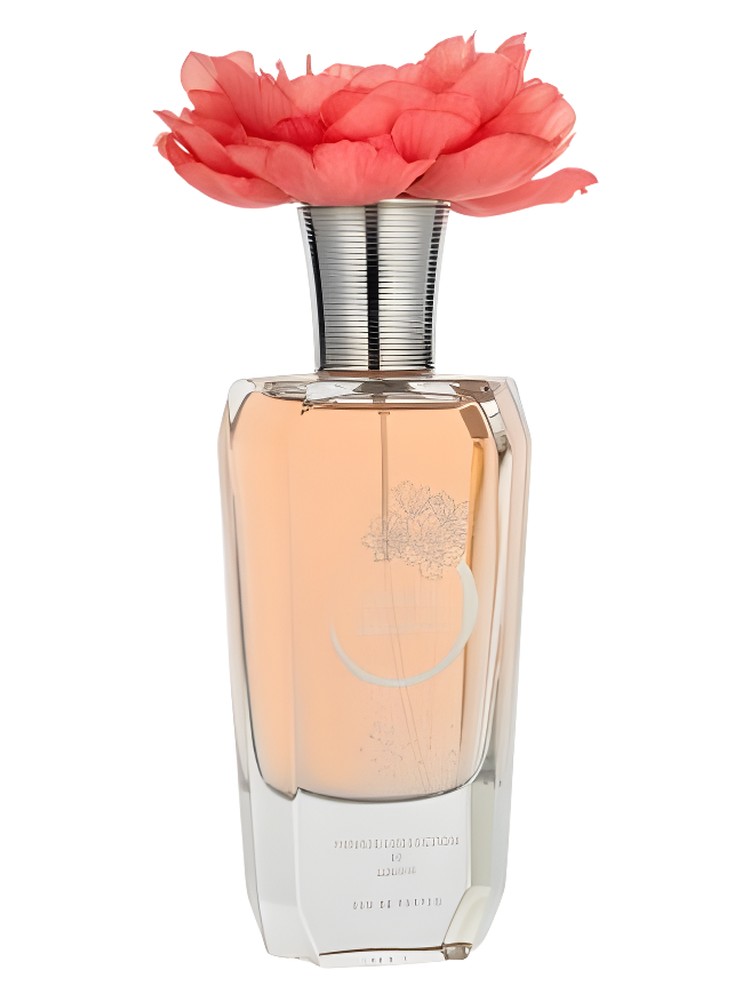 Silver Bloom Lomani perfume - a new fragrance for women 2024