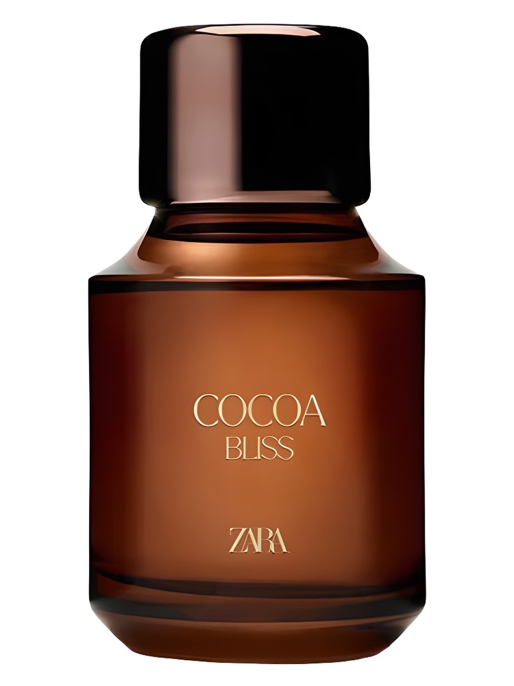Cocoa Bliss Zara perfume - a new fragrance for women 2025