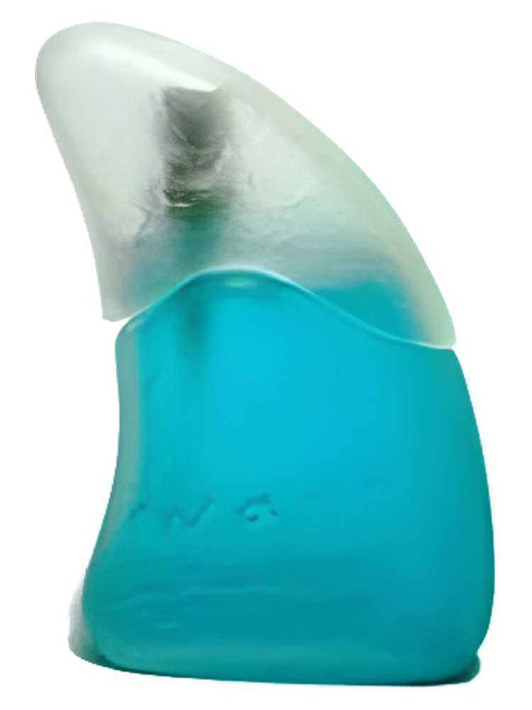 Wave Anucci cologne - a fragrance for men 1990