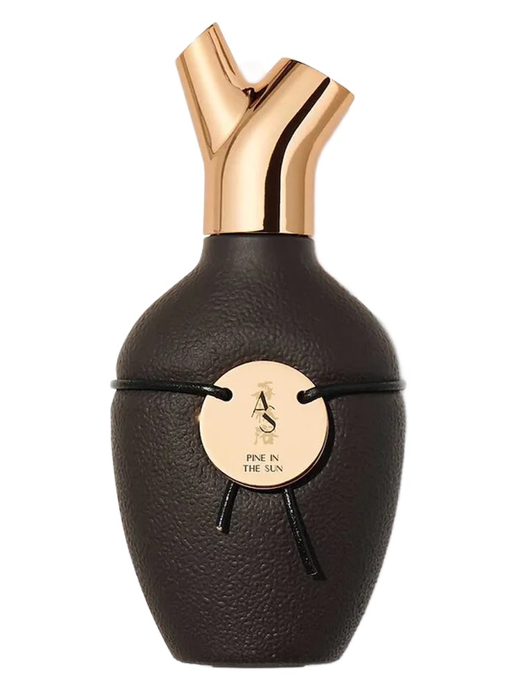 Pine in the Sun Scents of Wood perfume - a fragrance for women and men 2023