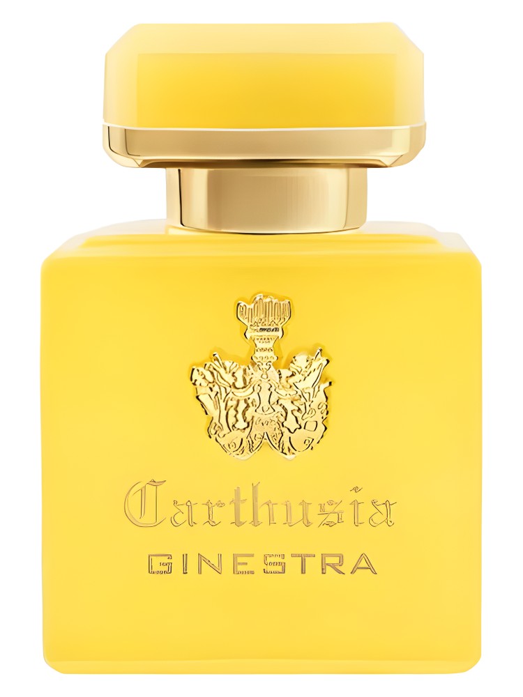 Intenso di Ginestra Carthusia perfume - a new fragrance for women and ...