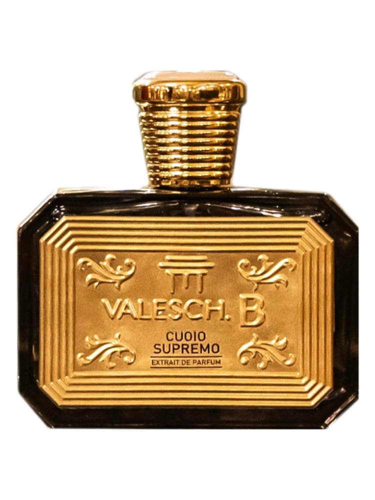 Cuoio Supremo Valesch B. perfume - a new fragrance for women and men 2025