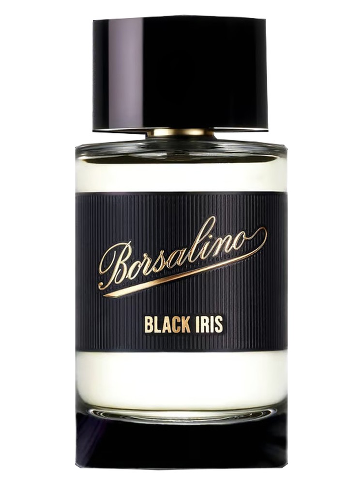 Black Iris Borsalino cologne - a new fragrance for men 2025