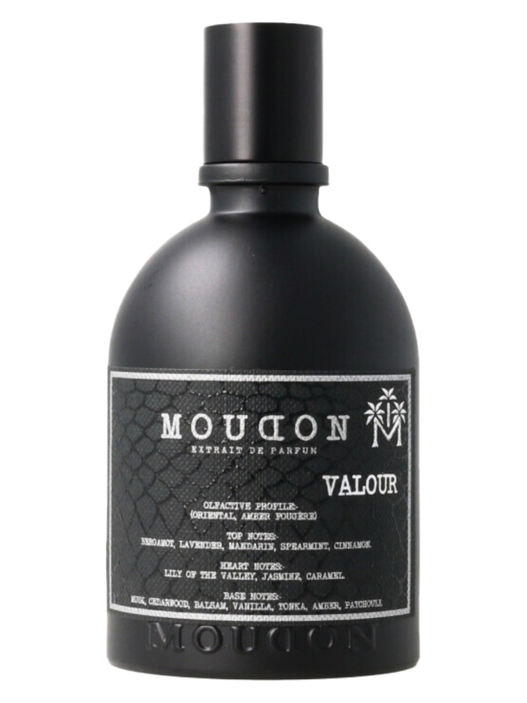Valour Moudon perfume - a new fragrance for women and men 2025