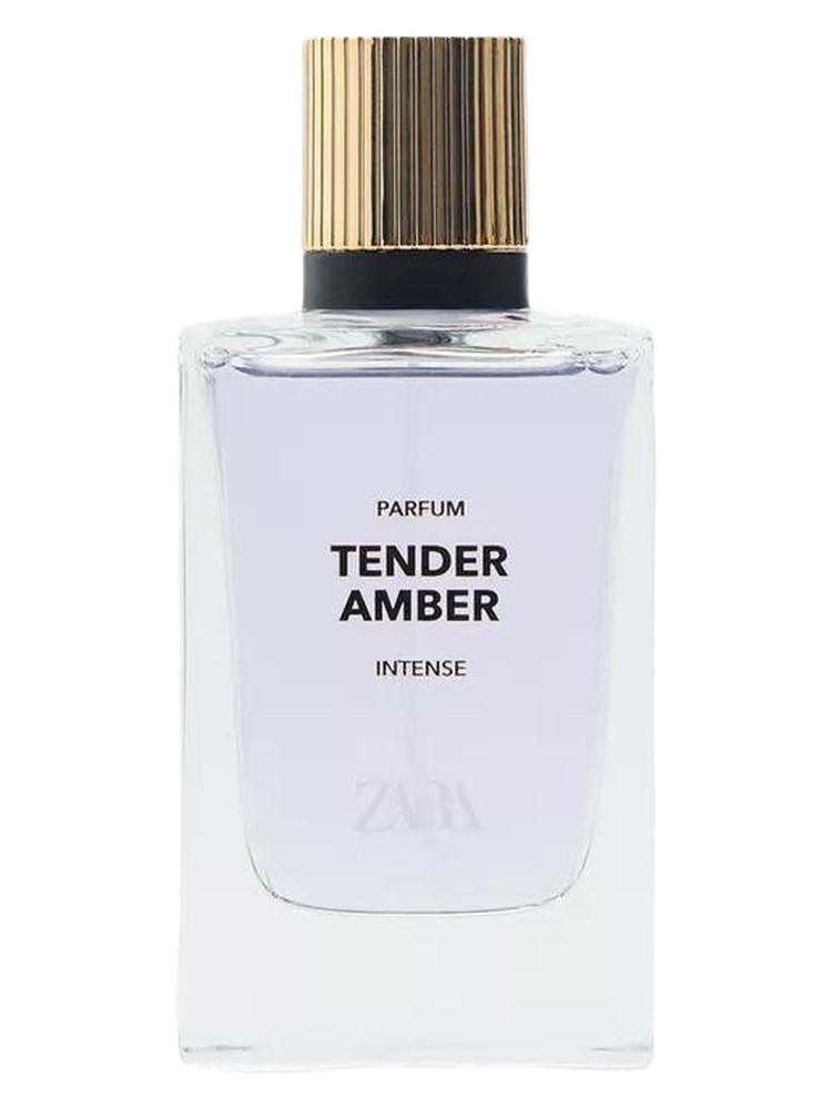 Tender Amber Intense Zara Colônia - a fragrância Masculino 2023