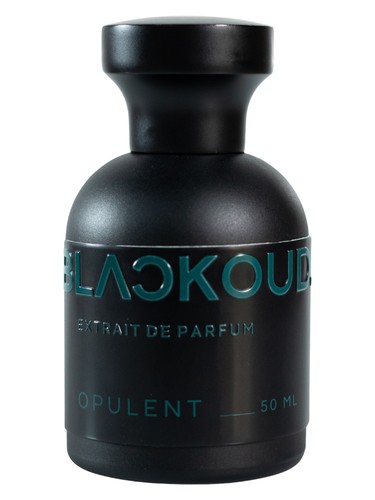 Opulent Blackoud perfume - a new fragrance for women and men 2025