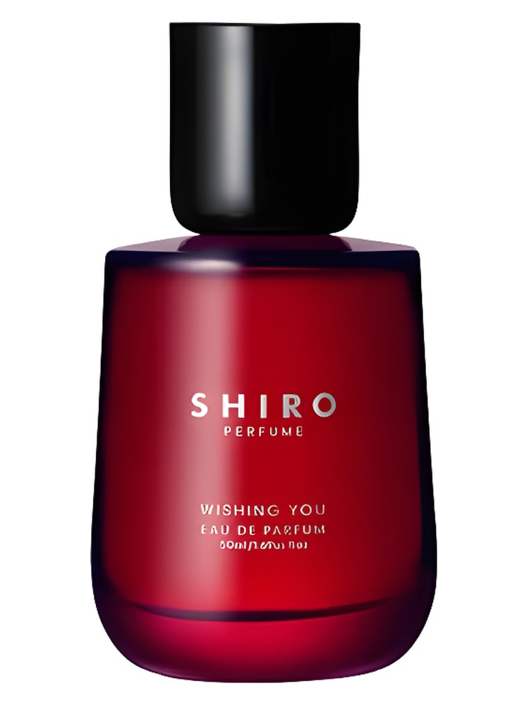 Wishing You Shiro perfume - a new fragrance for women and men 2024