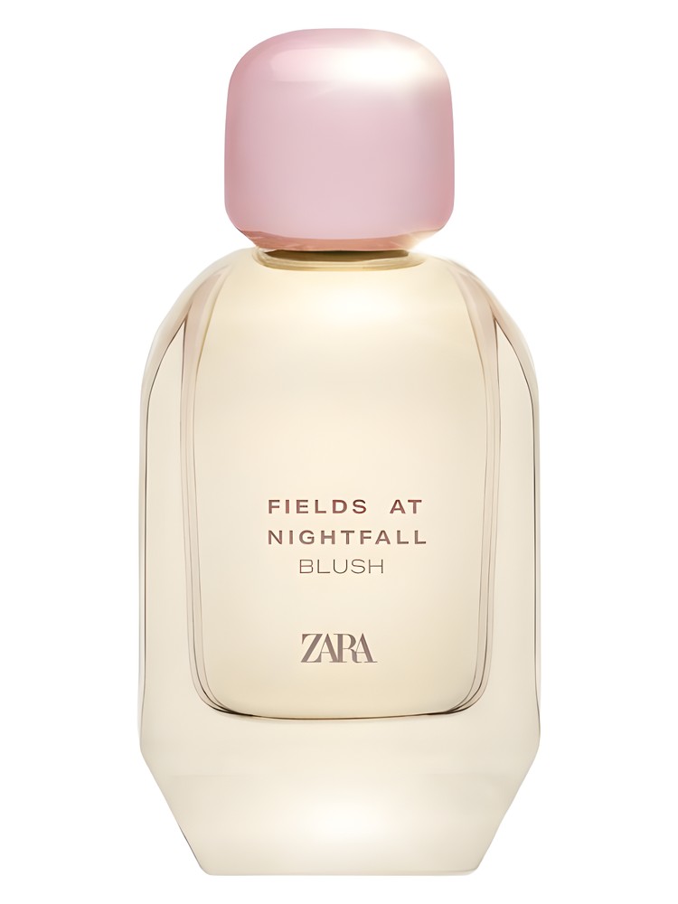 Fields at Nightfall Blush Zara perfume - a novo fragrância Feminino 2025