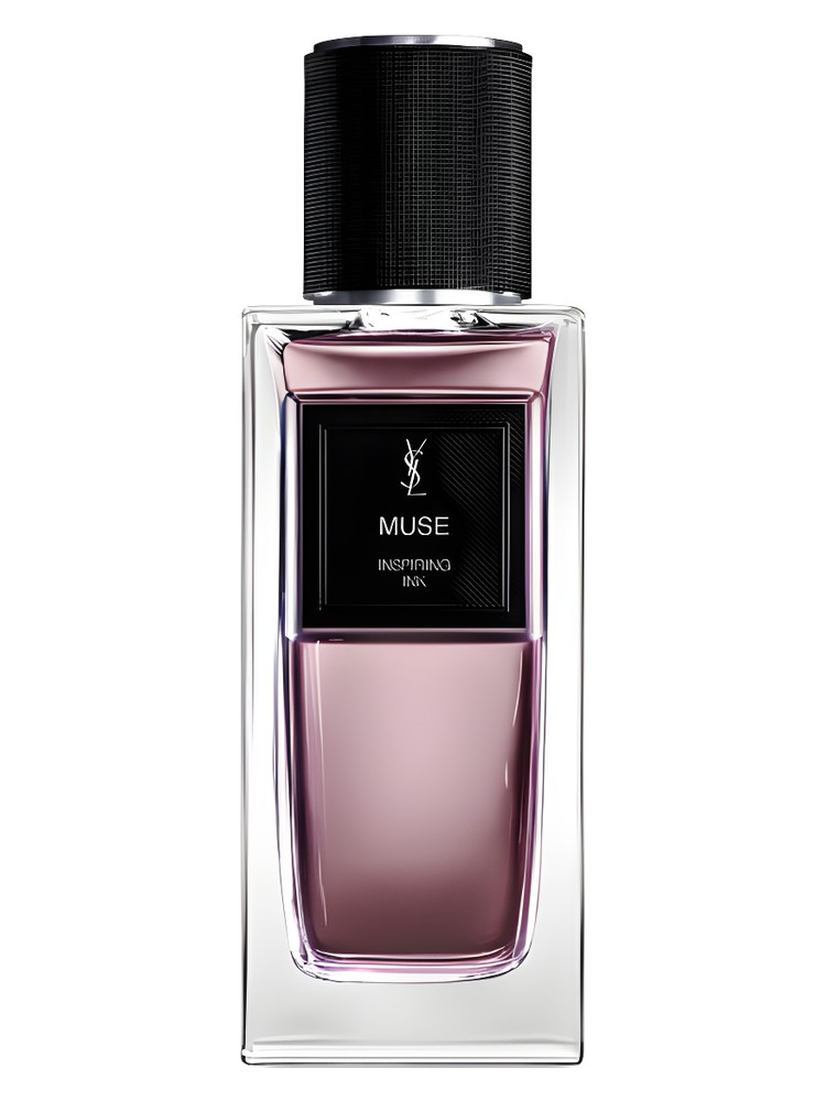 Muse Yves Saint Laurent perfume - a new fragrance for women and men 2025
