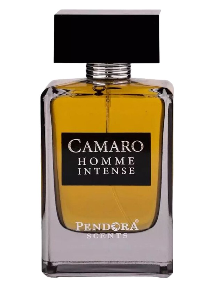 Camaro Homme Intense Pendora Scents perfume - a fragrance for women and ...