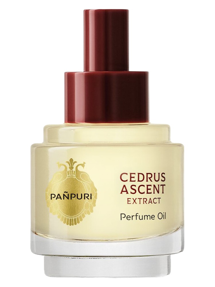 Cedrus Ascent Pañpuri perfume - a fragrance for women and men 2023