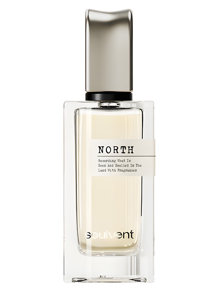 Crimson Snow Soulvent perfume - a fragrance for women and men 2022