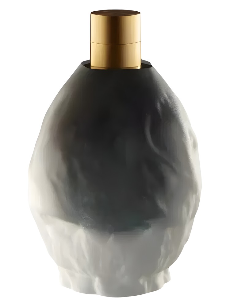 Saturn 0º Mercury 1511 perfume - a fragrance for women and men 2023
