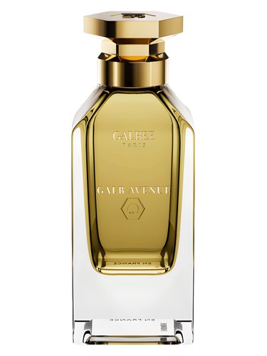 Galb Avenue Galbee perfume - a new fragrance for women and men 2025