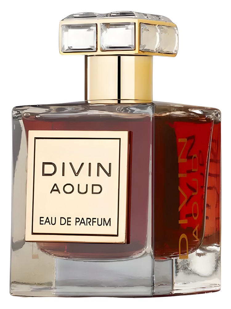 Divin Aoud Fragrance World perfume - a fragrance for women and men 2023