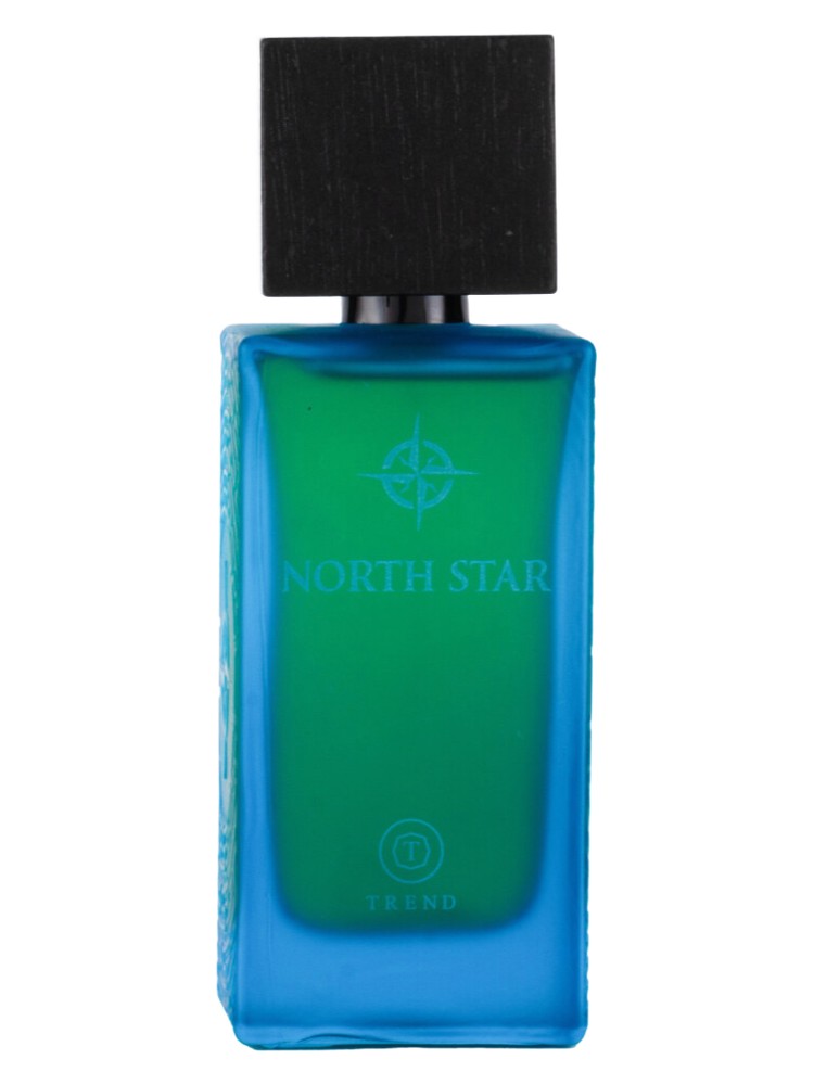 North Star Trend Perfumes perfume - a new fragrance for women and men 2025