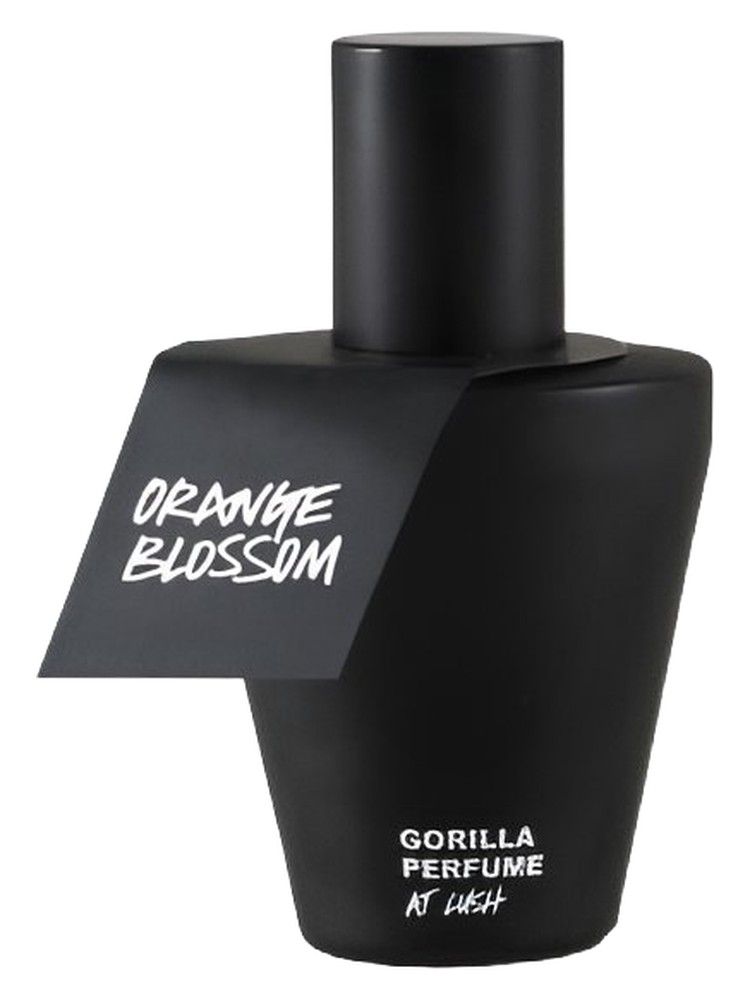 Orange Blossom Lush perfume - a fragrance for women and men 2010