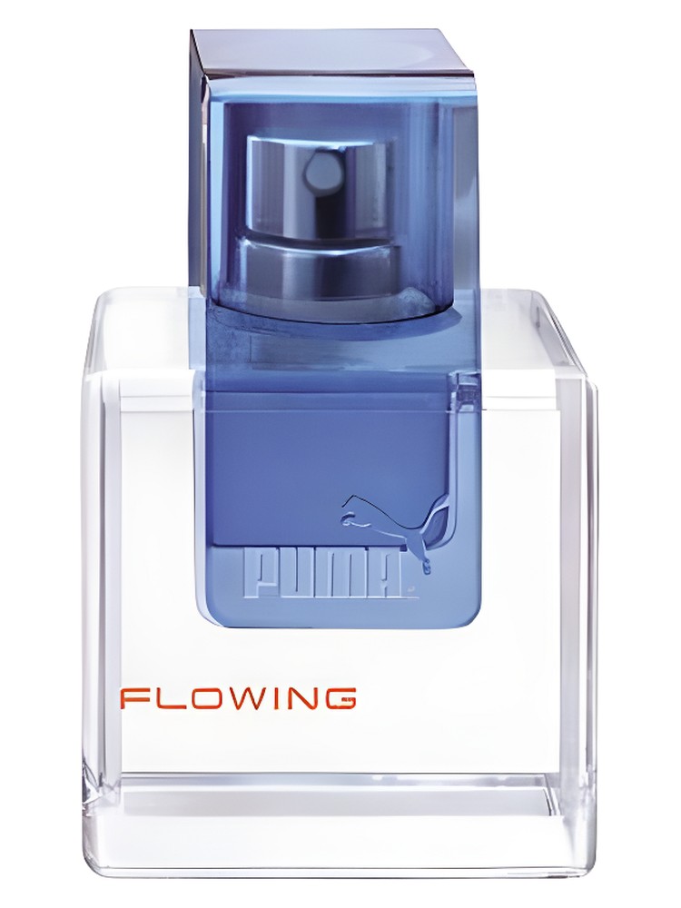 Flowing Man Puma cologne - a fragrance for men 2003