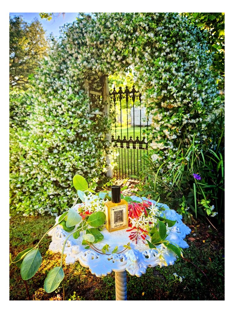 Queen of Dawn Solstice Scents perfume - a new fragrance for women and ...