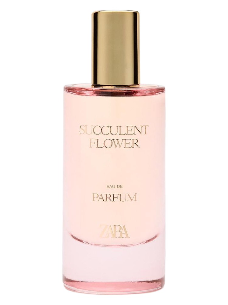 Succulent Flower Zara perfume - a new fragrance for women 2025
