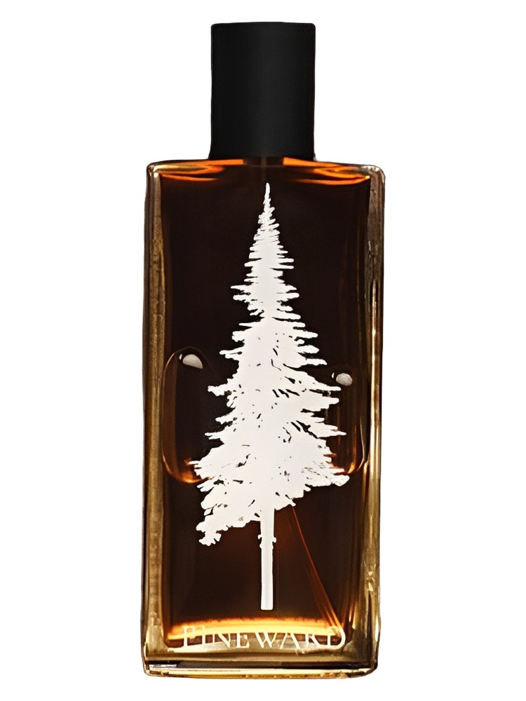 Lime Cola Pineward Perfumes perfume - a new fragrance for women and men ...