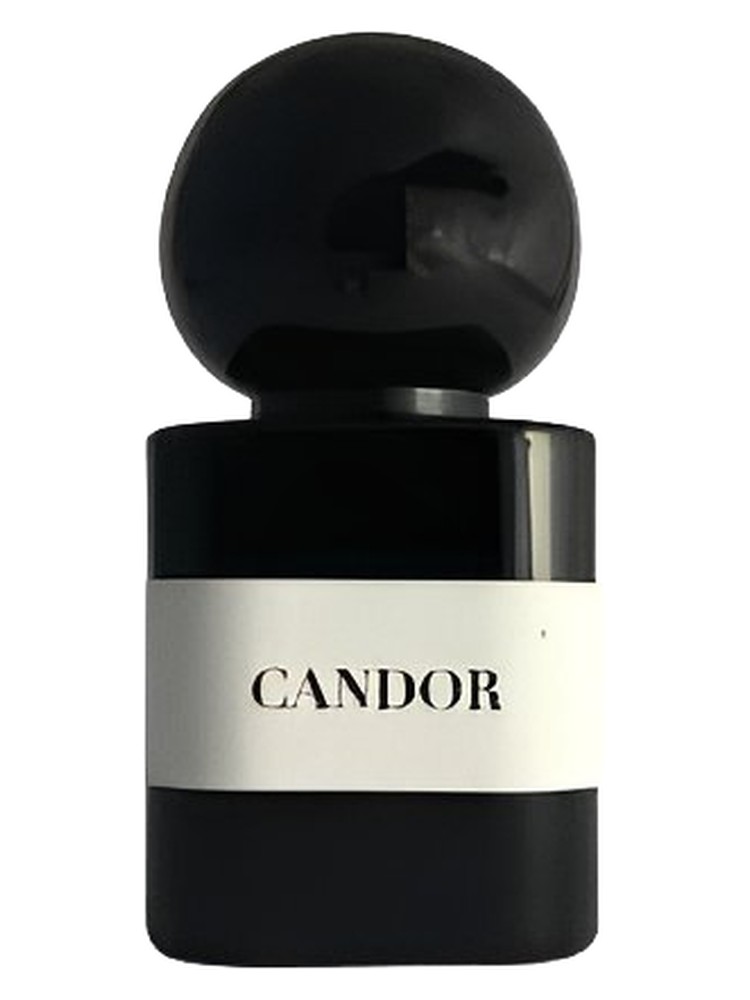 Candor Chapel Factory perfume - a new fragrance for women and men 2025