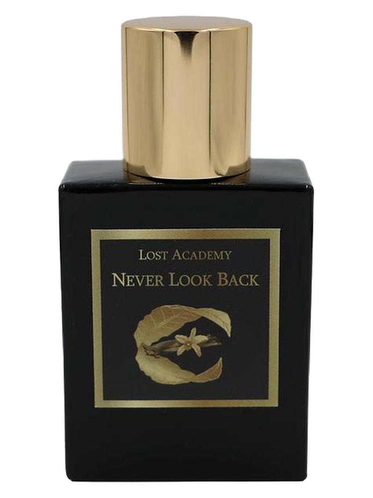 Never Look Back Lost Academy cologne - a new fragrance for men 2025