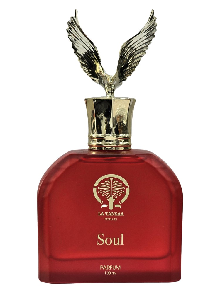 Soul Latansaa Perfume perfume - a new fragrance for women 2025