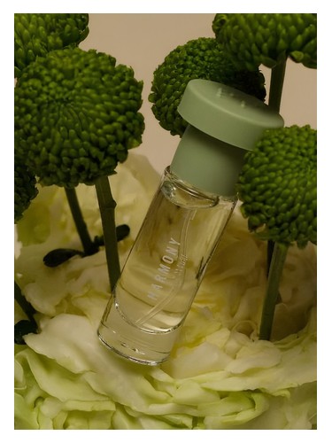 Harmony Pure Sense perfume - a new fragrance for women and men 2025