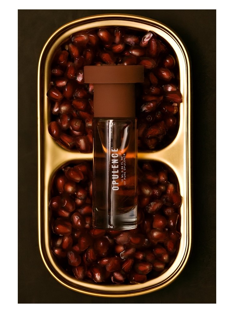 Opulence Pure Sense perfume - a new fragrance for women and men 2025