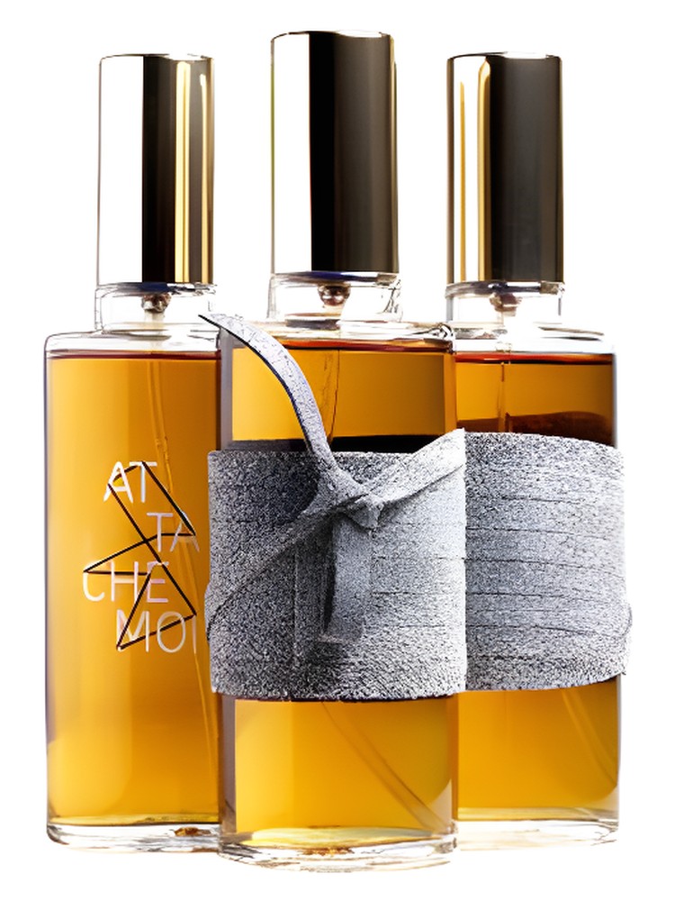 Attache-Moi ICONOFLY perfume - a fragrance for women and men 2009