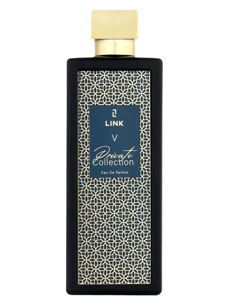 V LINK perfume - a fragrance for women and men 2023