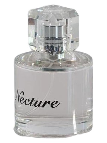 Necture Lady Primrose perfume - a fragrance for women 2021