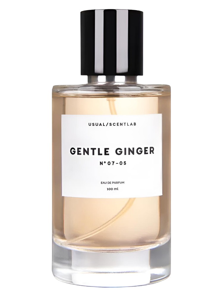 Gentle Ginger № 07-05 Usual Parfums cologne - a fragrance for men 2020
