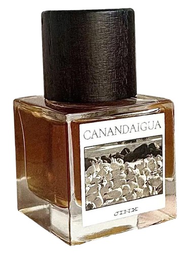 Canandaigua Jinx Smells perfume - a new fragrance for women and men 2025