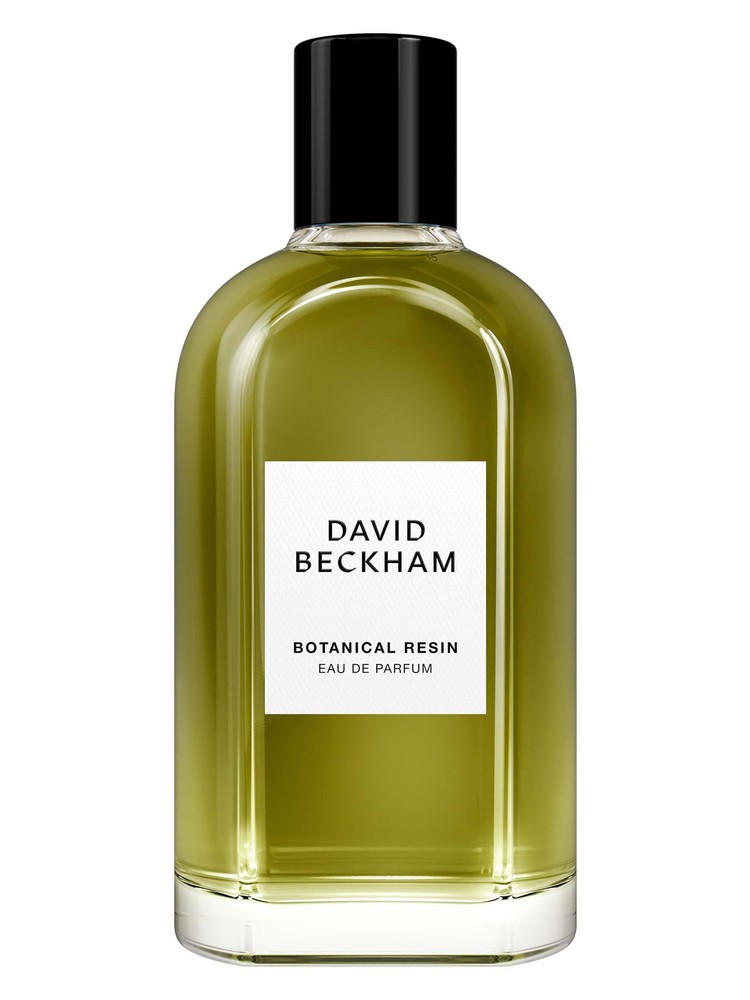 Botanical Resin David Beckham cologne - a new fragrance for men 2025