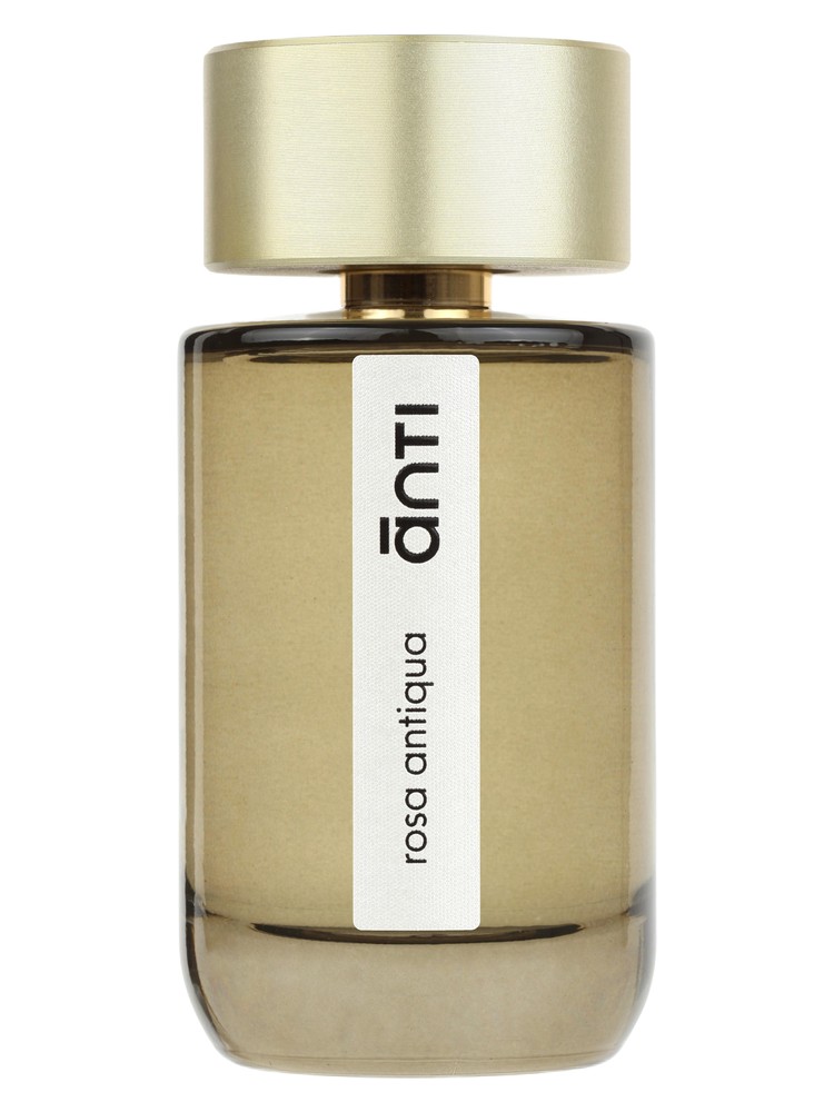 Rosa Antiqua Anti perfume - a new fragrance for women and men 2025