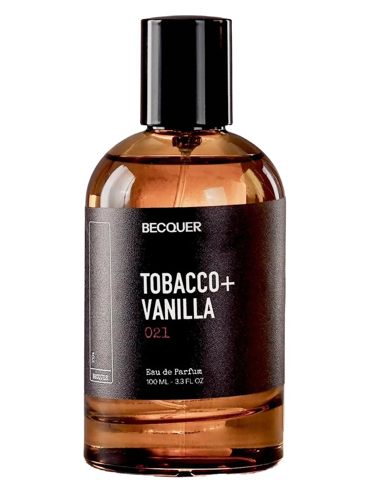 Tobacco + Vanilla Becquer perfume - a new fragrance for women and men 2024
