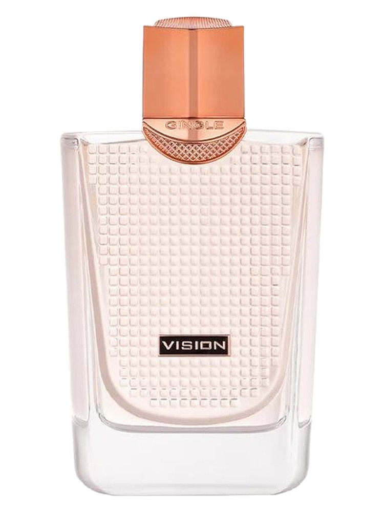 Vision Men Gingle cologne - a fragrance for men 2019
