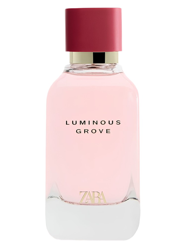Luminous Grove Zara perfume - a new fragrance for women 2025