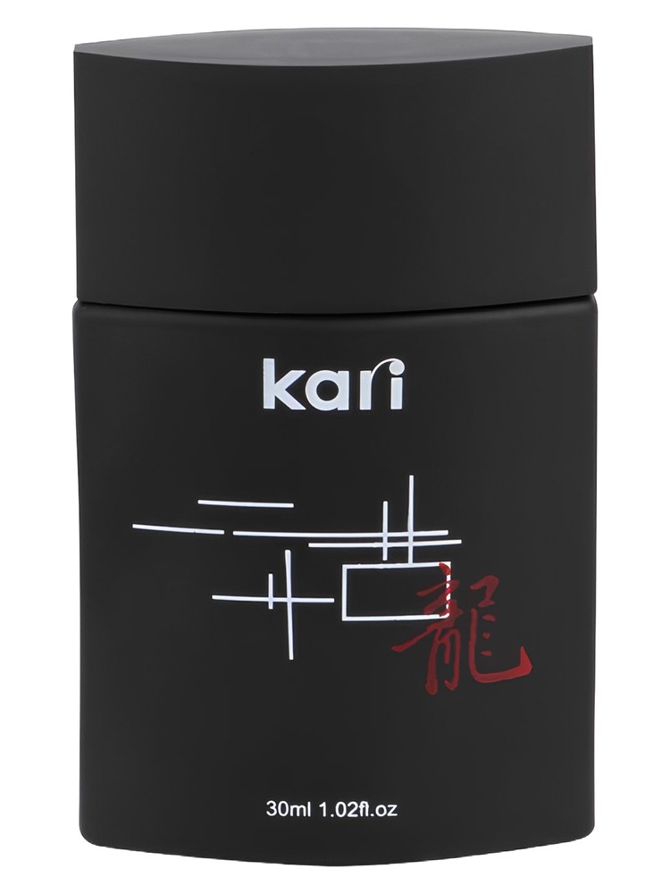 Kari for Men kari cologne - a new fragrance for men 2024