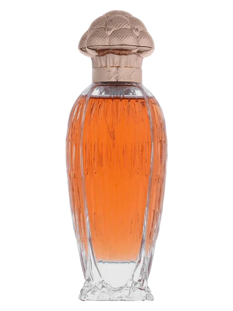 Vivid Gingle perfume - a fragrance for women 2019