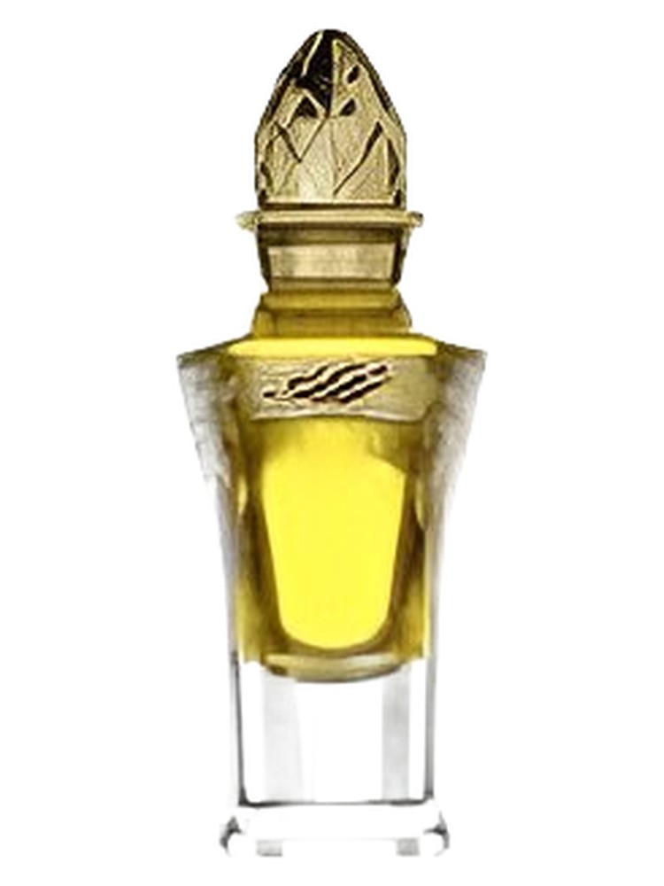 Thaqaf Ahmed Al Maghribi perfume - a new fragrance for women and men 2024