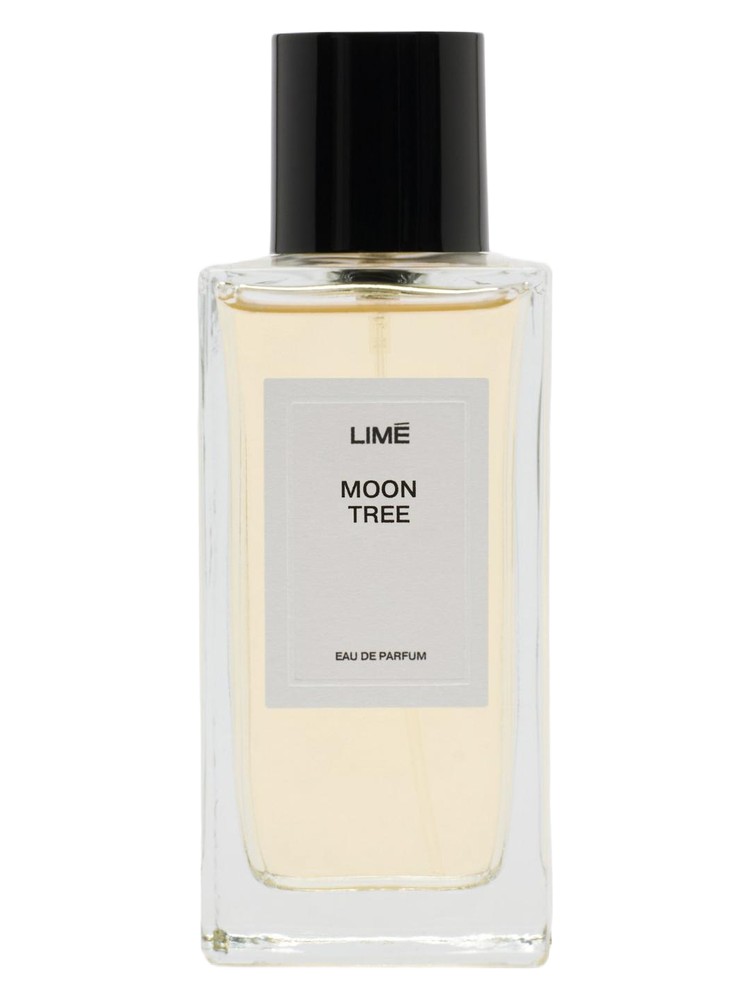 Moon Tree Lime - una novità fragranza unisex 2025