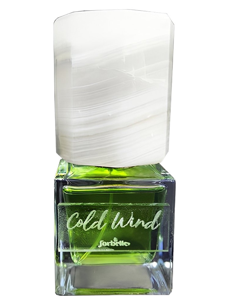 Cold Wind Forbelle perfume - a new fragrance for women and men 2024
