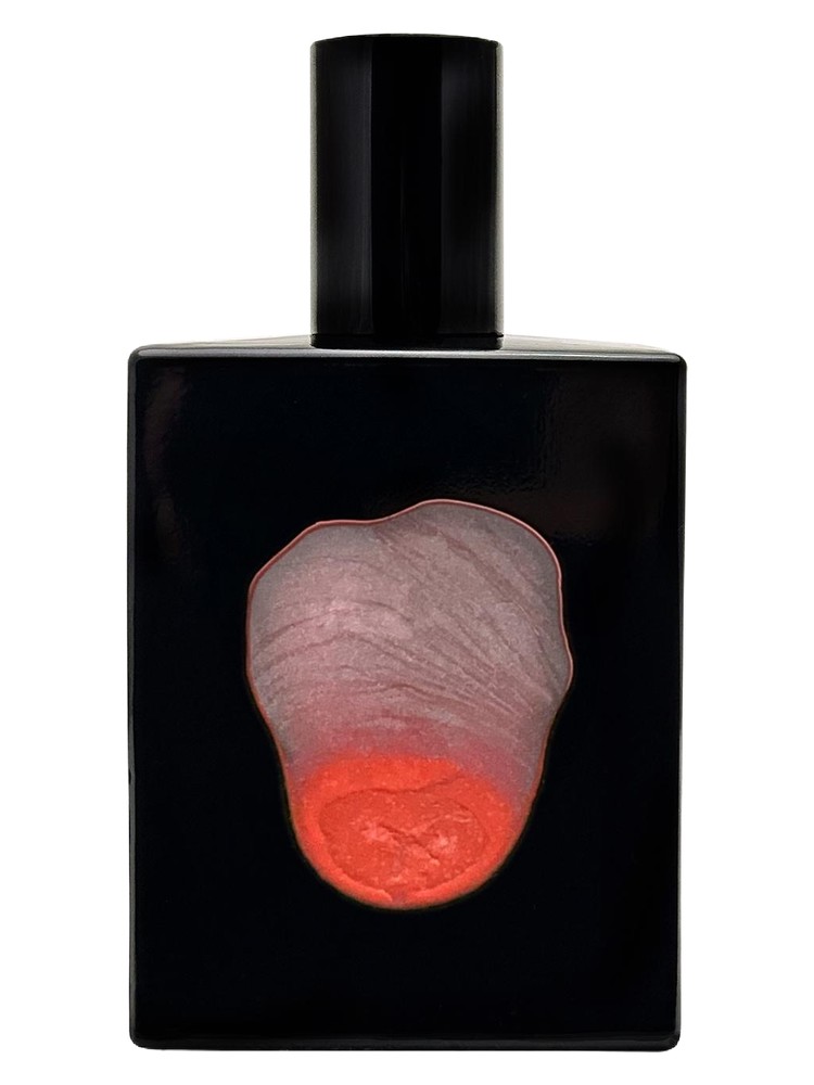 Lovely Problem Space Fluid perfume - a new fragrance for women and men 2025