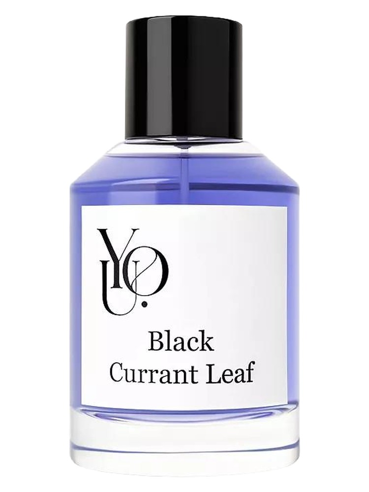 Black Currant Leaf YOU perfume - a new fragrance for women 2025