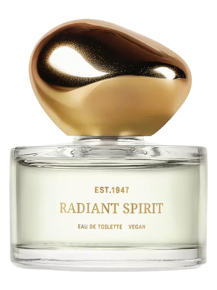 Radiant Spirit H&M perfume - a new fragrance for women and men 2024