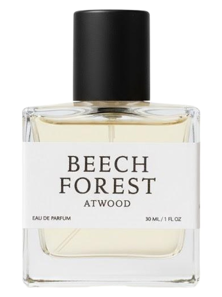 Beech Forest Atwood perfume - a new fragrance for women and men 2025
